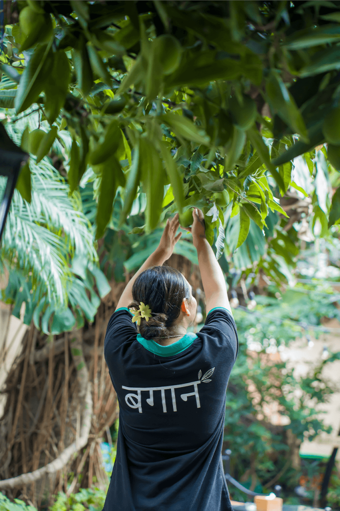 Careers - Bagaan Retreat